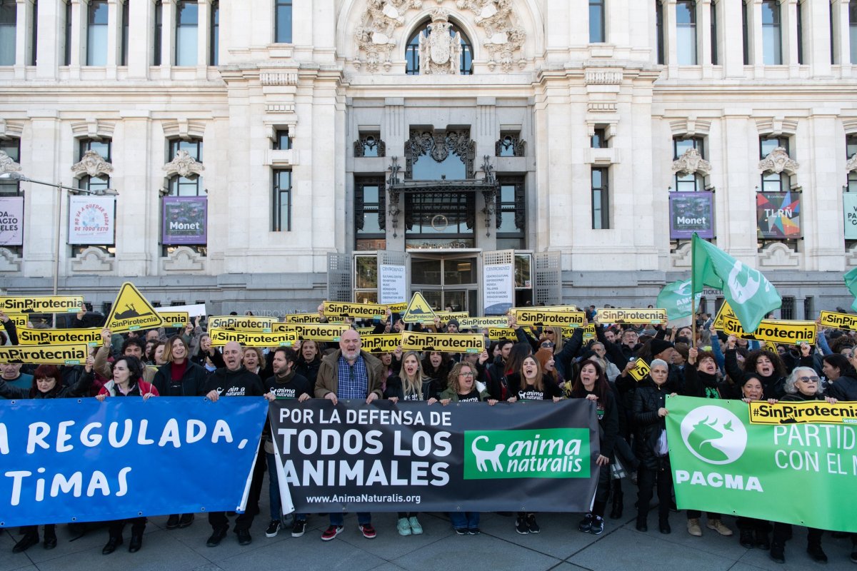 Medio millar de personas se unen en Cibeles contra la mascletà de ...