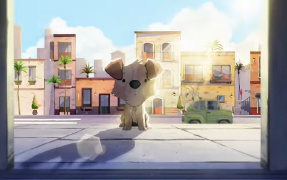 La historia de Canelo, el perro que esperó 12 años a su tutor en la ...